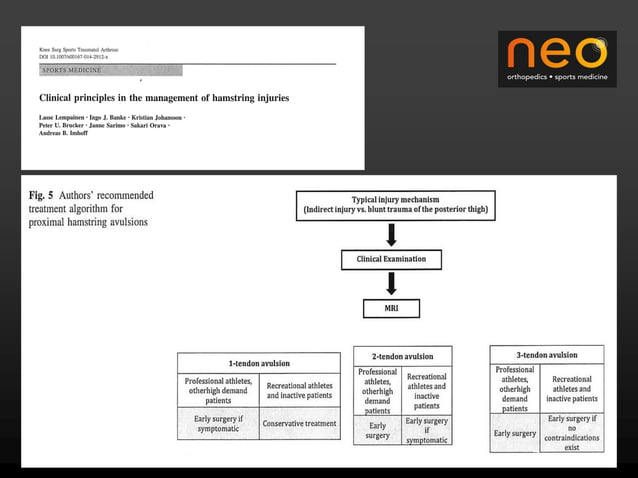 Lasse Lempainen - Hamstring injuries: When is surgery indicated? | PPT