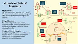 Lenacapavir: A Novel Capsid Inhibitors in HIV-1 Treatment | PPTX