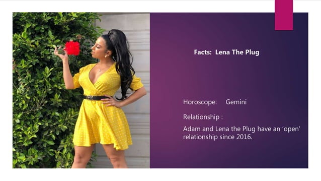 Lena The Plug | PPTX