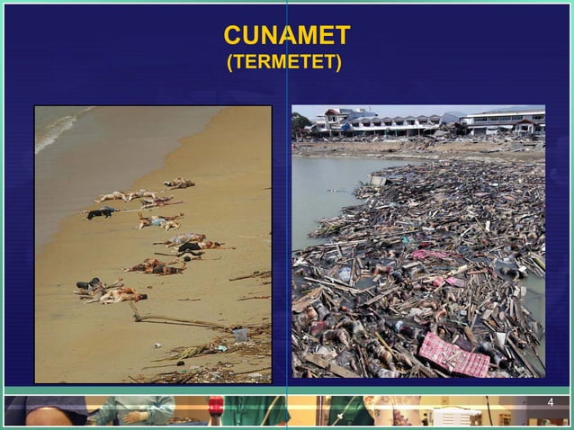 Lendimet masovike,-triazhimi-i-te-lenduareve-ppt;-25-10-2012 | PPT