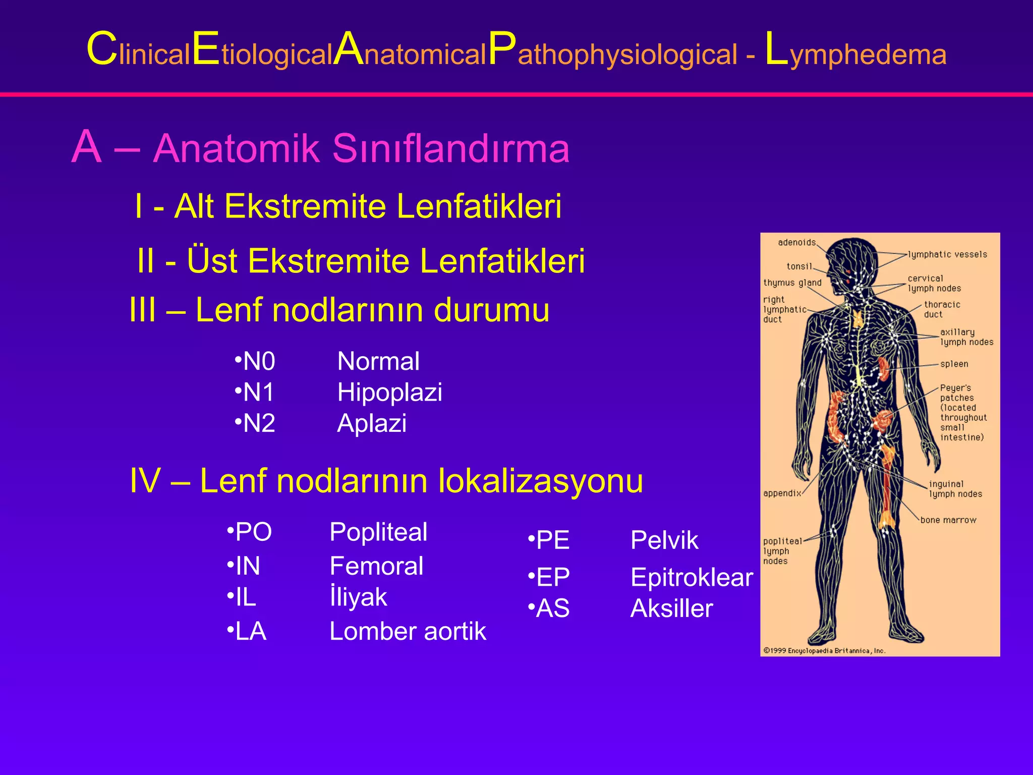 Lenfodem klinigi ve yeni siniflama | PPT