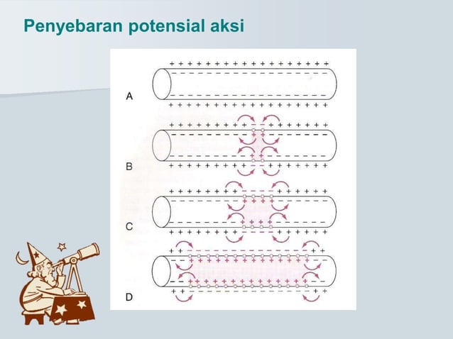 materi lengkap tentang Lengkung refleks.pptx