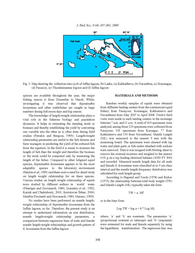 Length weight relationship and growth pattern of sepioteuthis ...