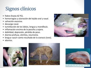 virus Lengua azul | PPTX