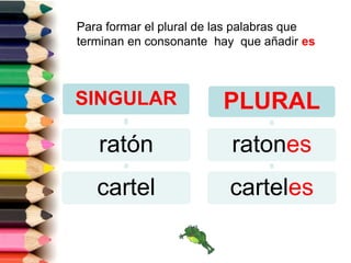 Lengua B3 el prural en las palabras | PPT