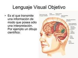 Lenguaje Visual | PPT