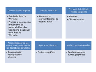 Fisiología: Lenguaje y habla | PPTX