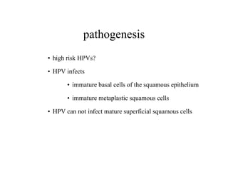 Cervical cancer ppt | PDF