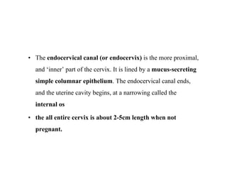 Cervical cancer ppt | PDF