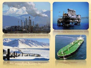 Lenka škrhová | PPT