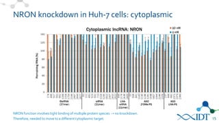 Knockdown of lncRNAs: exploring RNAi and antisense oligo methods | PPT
