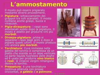 Lenologia Prima Parte | PPT