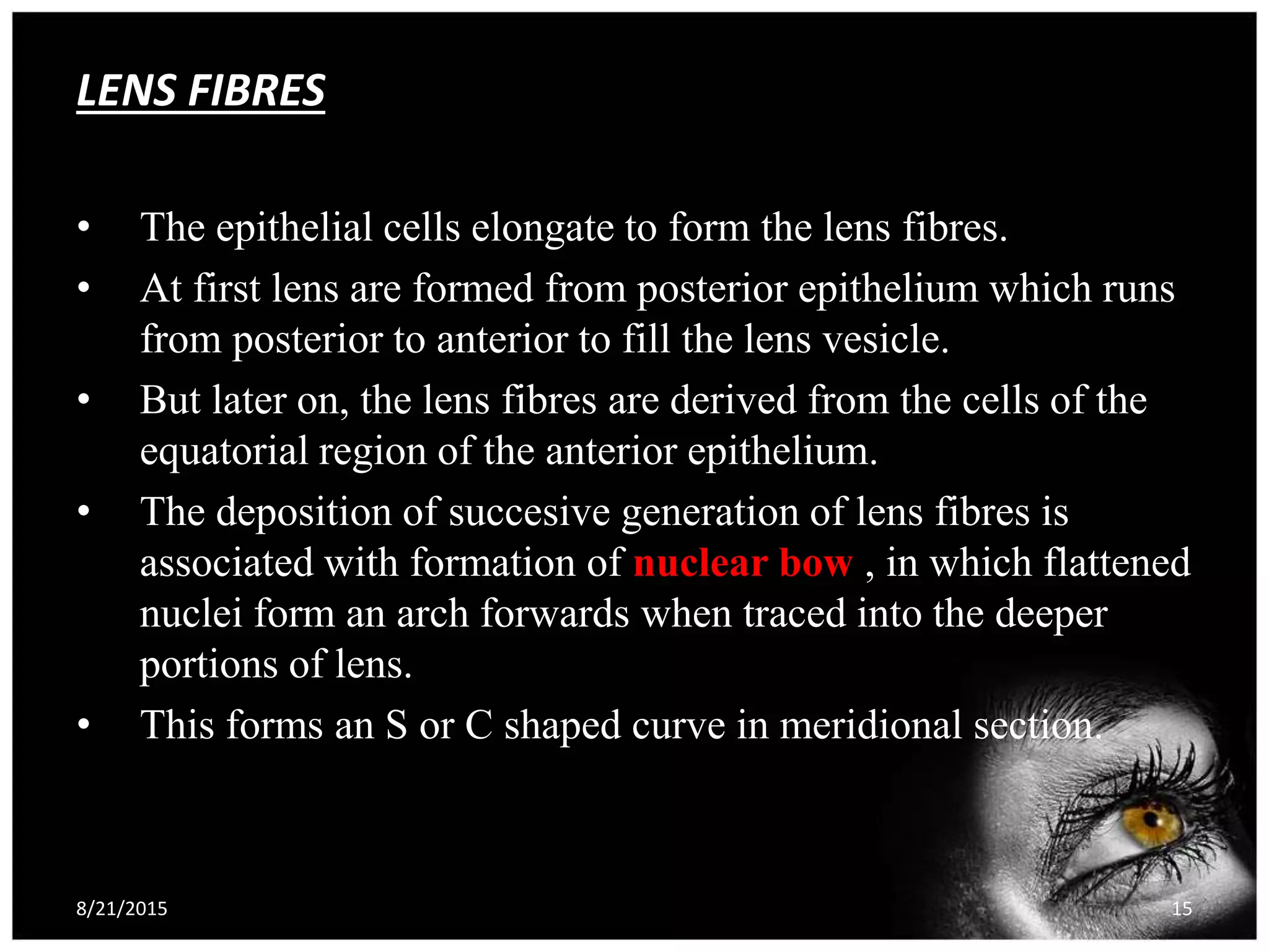 HUMAN Lens ANATOMY | PPTX