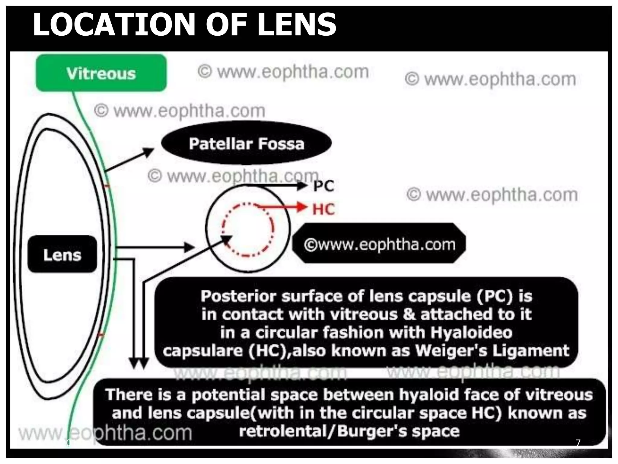 HUMAN Lens ANATOMY | PPTX