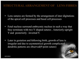 HUMAN Lens ANATOMY | PPTX