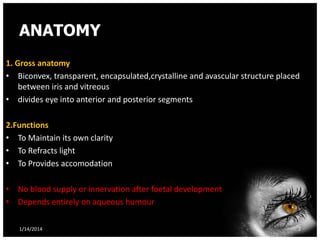 HUMAN Lens ANATOMY | PPTX