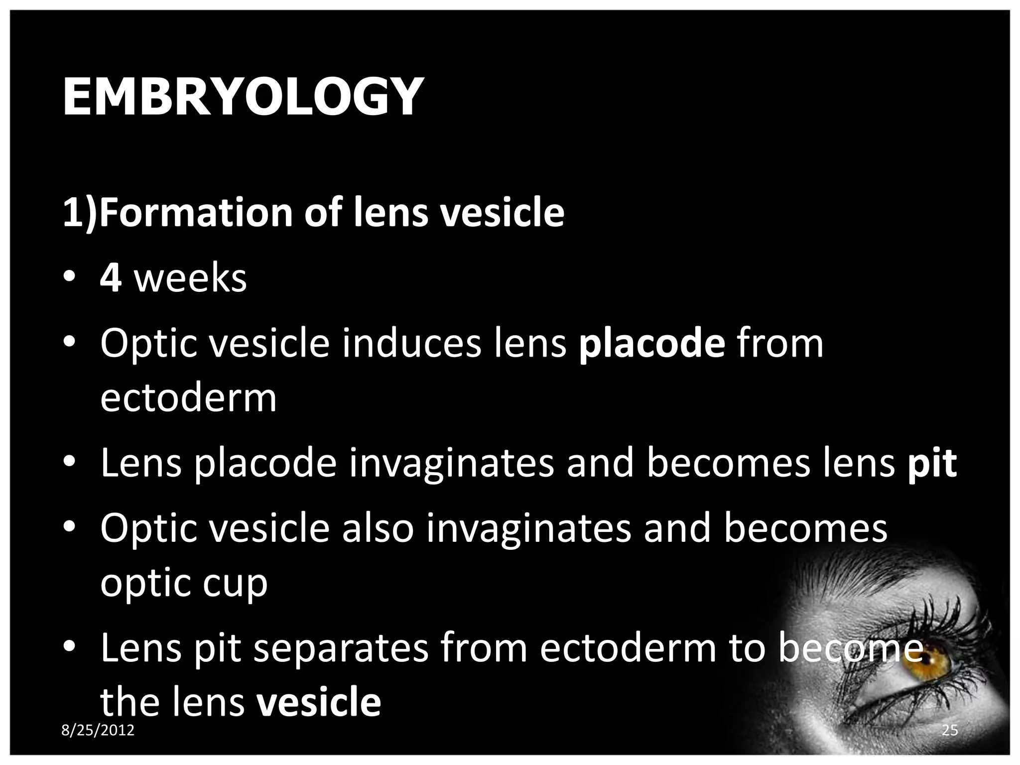 Lens | PPT