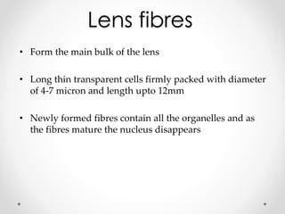 Lens | PPTX