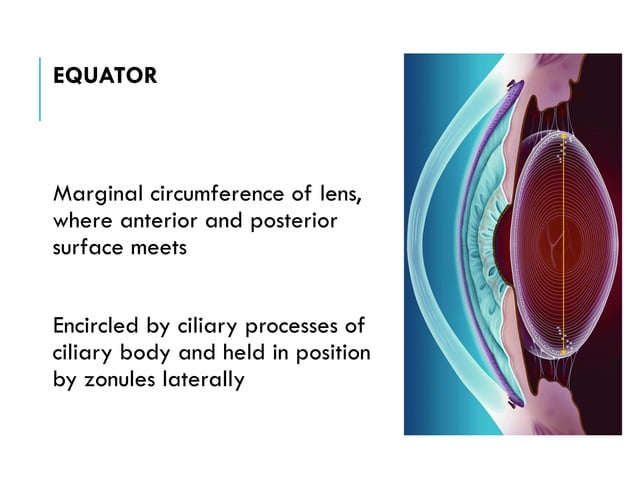Crystalline Lens | PDF