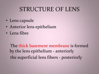 Lens | PPTX