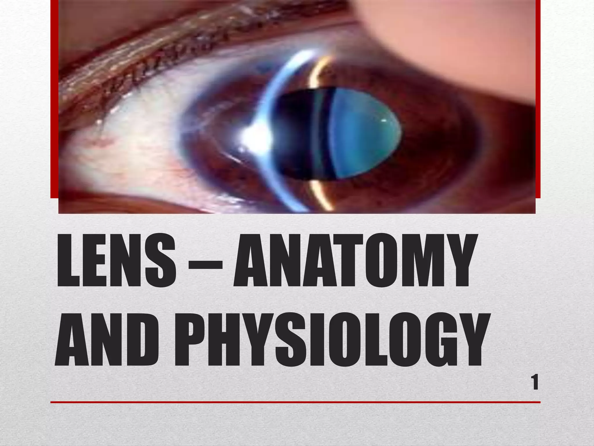 Lens – anatomy and physiology | PPTX