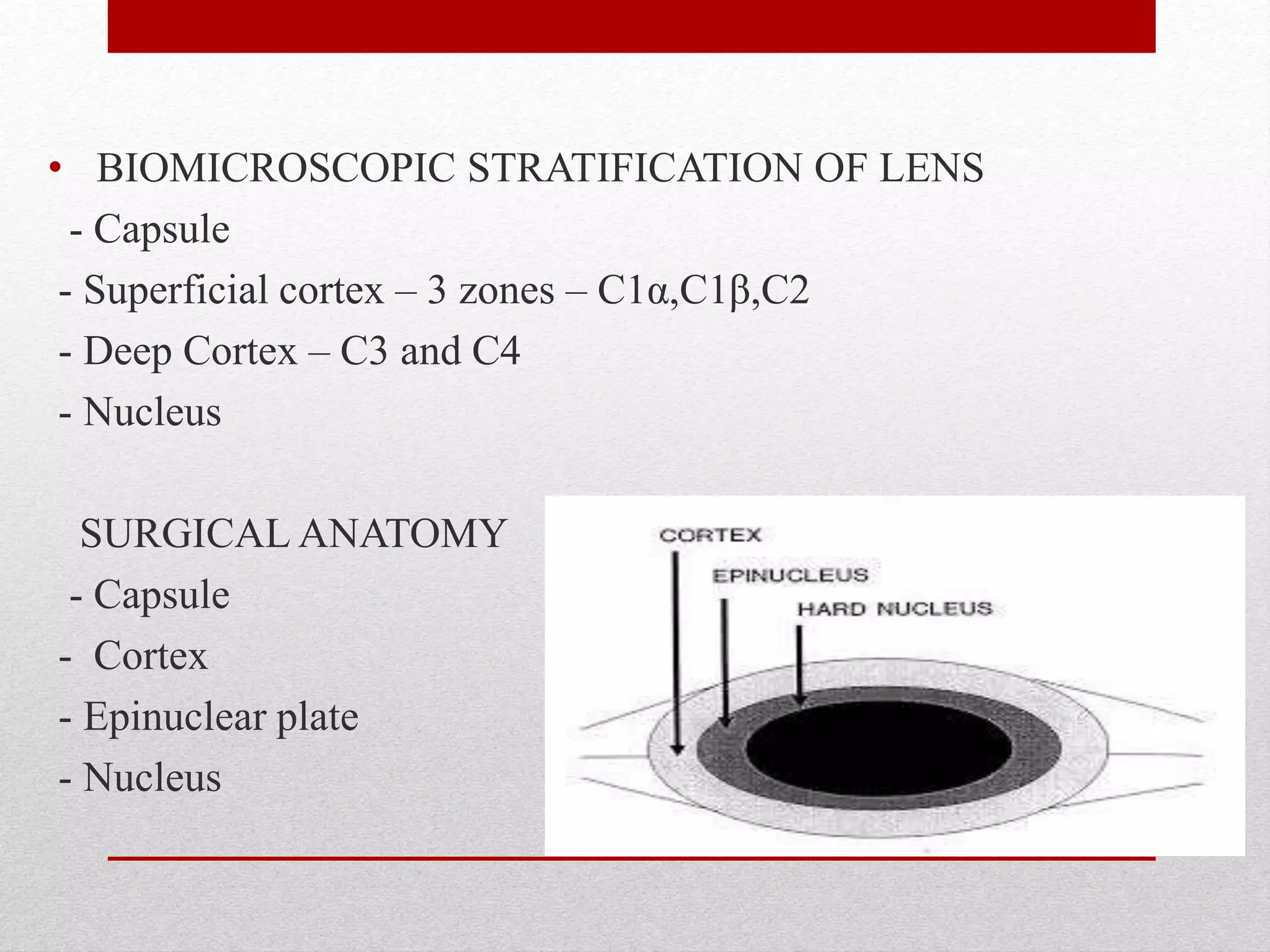 Lens – anatomy and physiology | PPTX