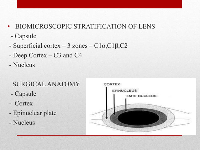 Lens – anatomy and physiology | PPTX