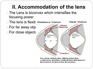 Lens and cataract | PPTX