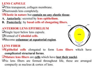 Lens and Cataract.HYKULIO;PO[PGTJUO,OL0,M | PPTX