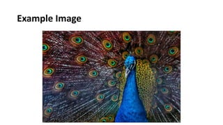 Lens and its Types | PPTX