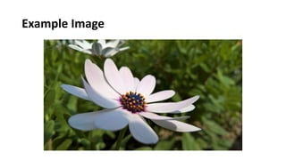 Lens and its Types | PPTX