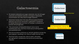 Crystaline lens Biochemistry- Ocular Biochemistry | PDF