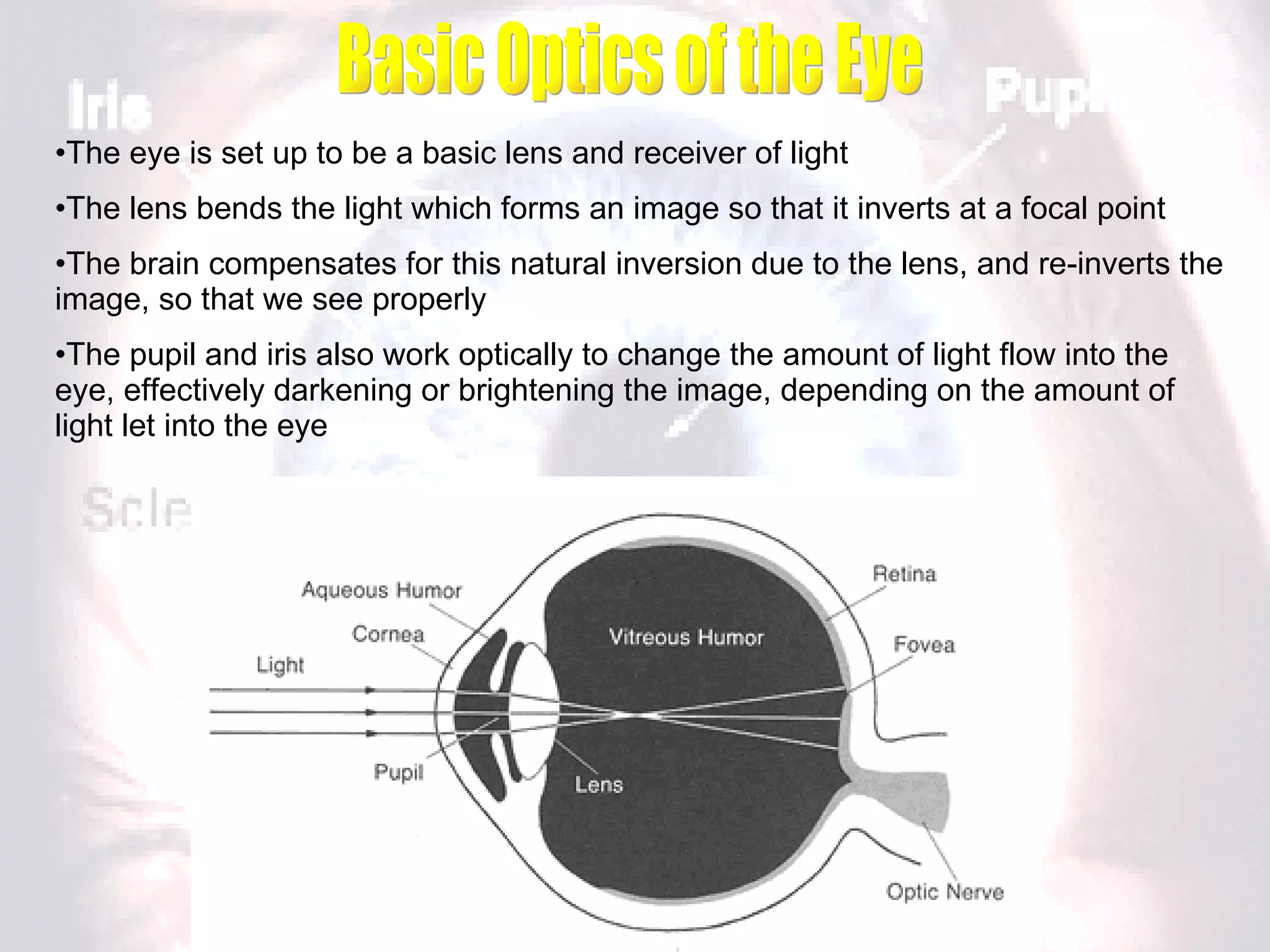 Lenses And Mirrors | PPT