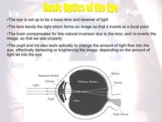 Lenses And Mirrors | PPT