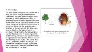 Lenses in Daily Life PPT, Happy review.. | PPTX