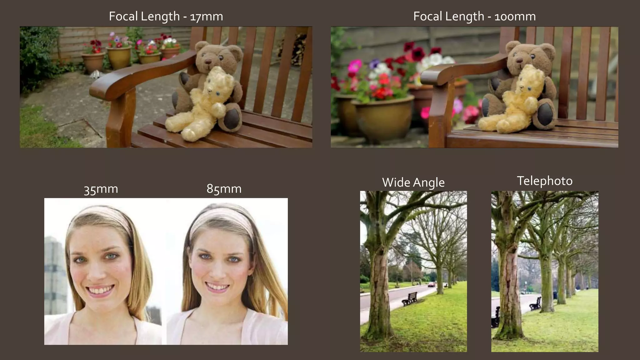 Lenses: Focal Length and Depth of Field | PPT