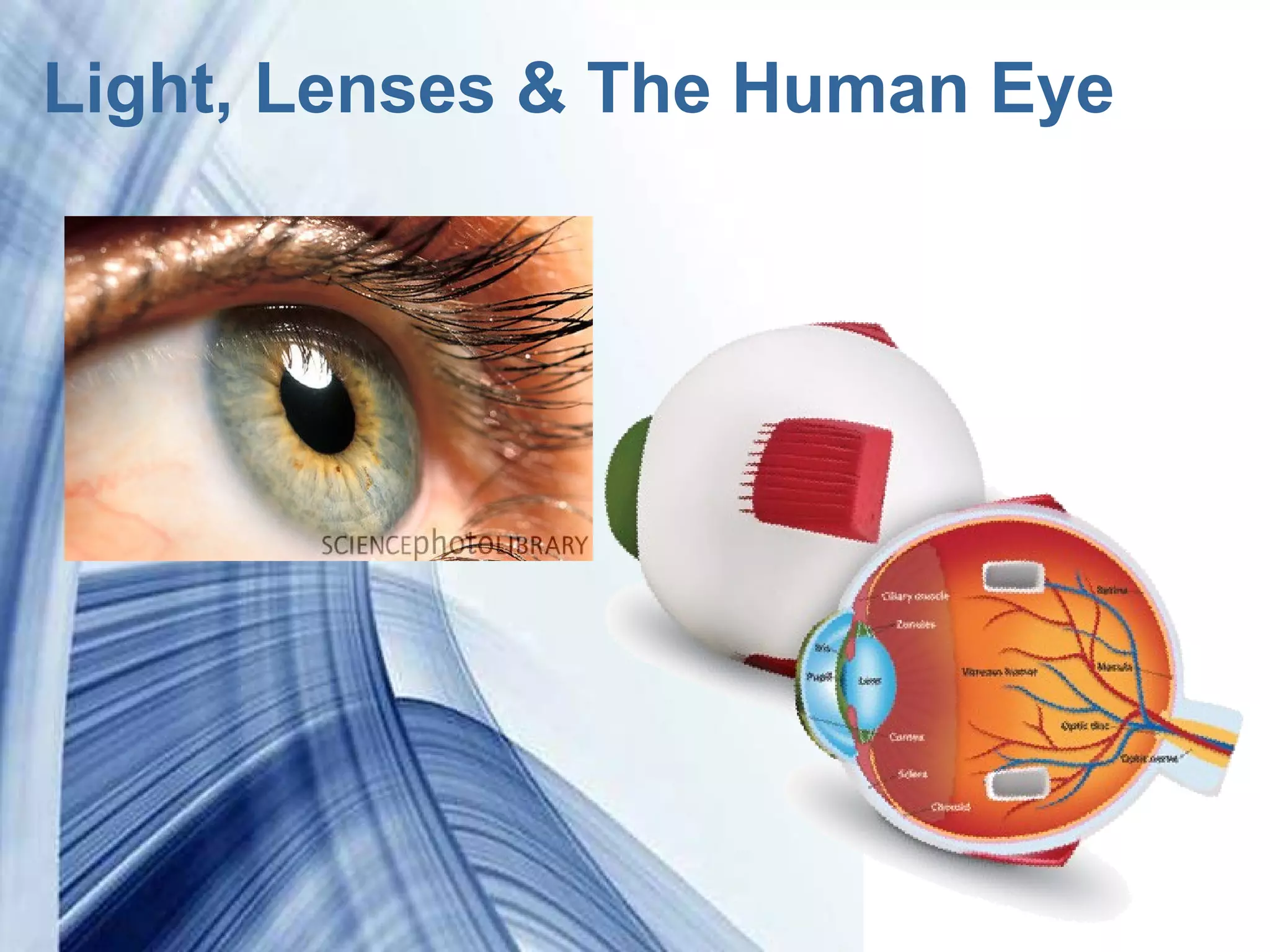 Light, Lenses & the Human Eye | PPT