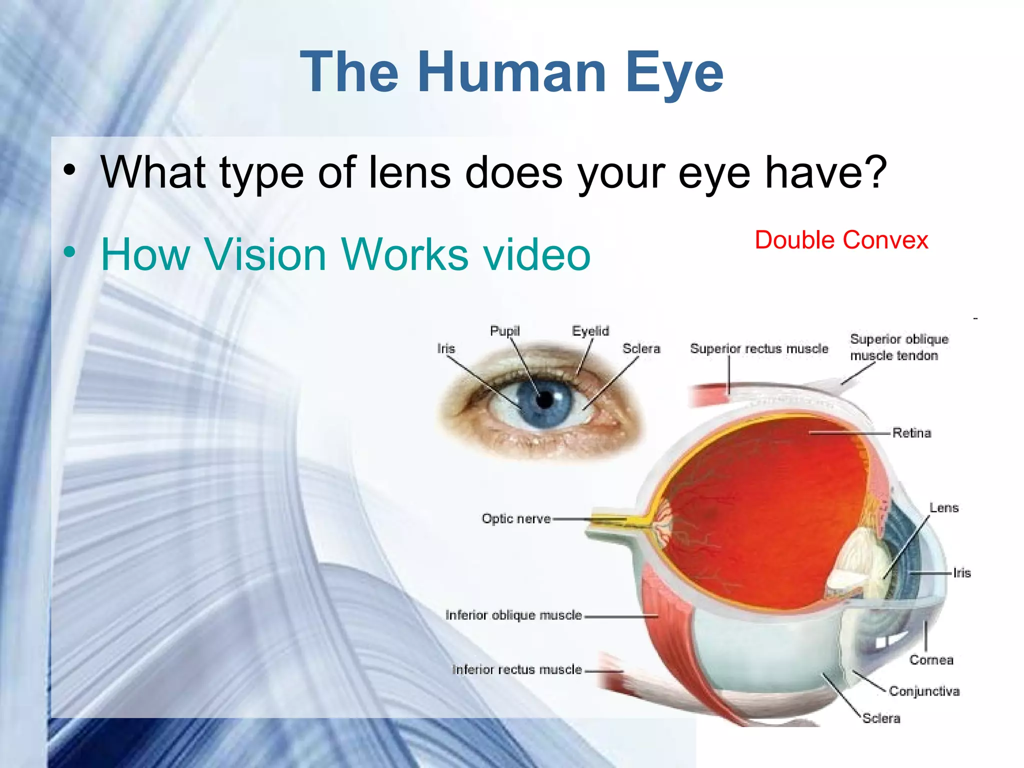 Light, Lenses & the Human Eye | PPT