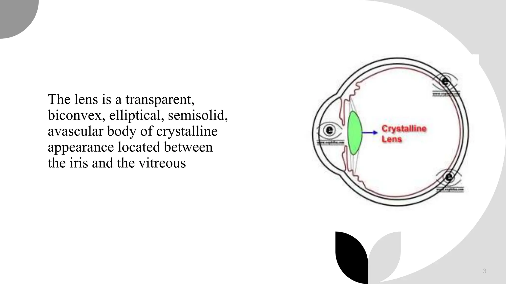LENS AND VITEROUS ANATOMY .pptx