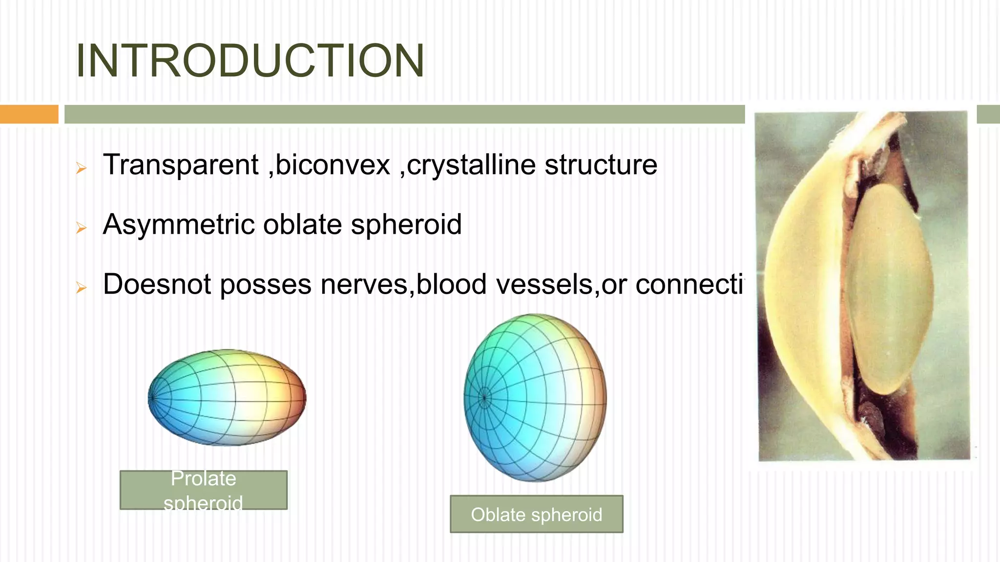 Anatomy and physiology of lens | PPTX