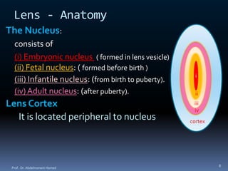 Lens for undergraduate final 11 2017 part 1 a - gif image for slide ...