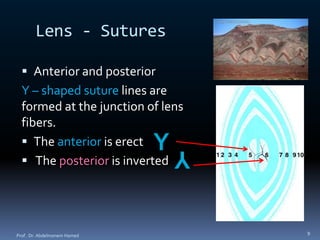 Lens for undergraduate final 11 2017 part 1 a - gif image for slide ...