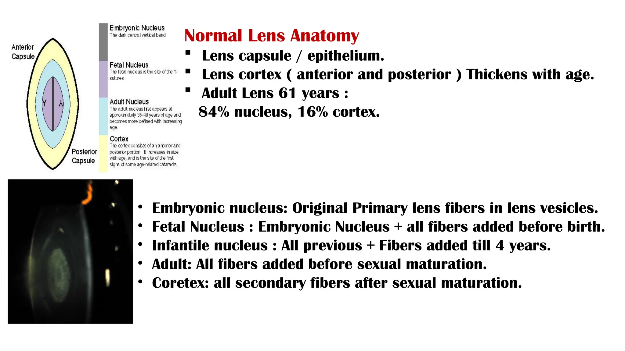 Lens lecture revision Arab Board HUCOM.pptx