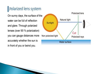 Lens Presentation.pptx
