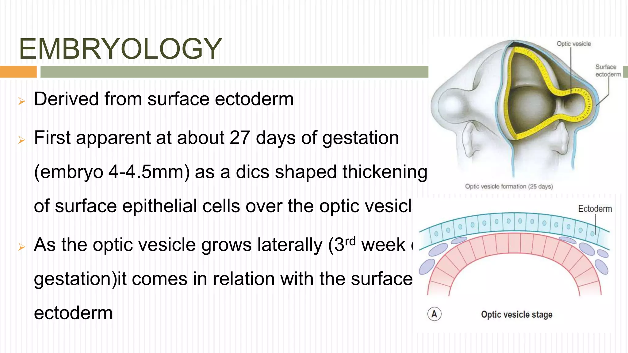 Lens anatomy and physiology with clinical correlation | PPTX