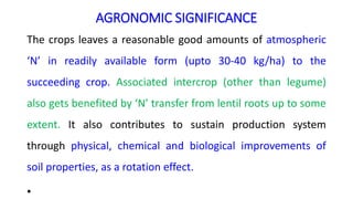 LENTIL - 1 crop production technology .pdf