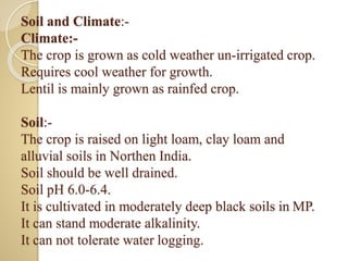 Lentil.....pptx Detail cultivation practices of lentil | PPTX