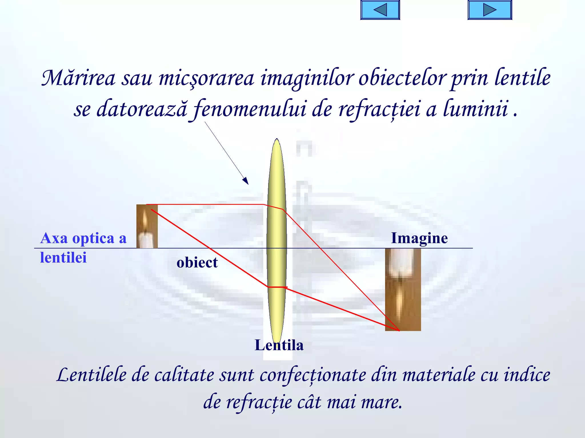 Lentile | PPT