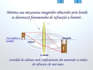 Lentile | PPT
