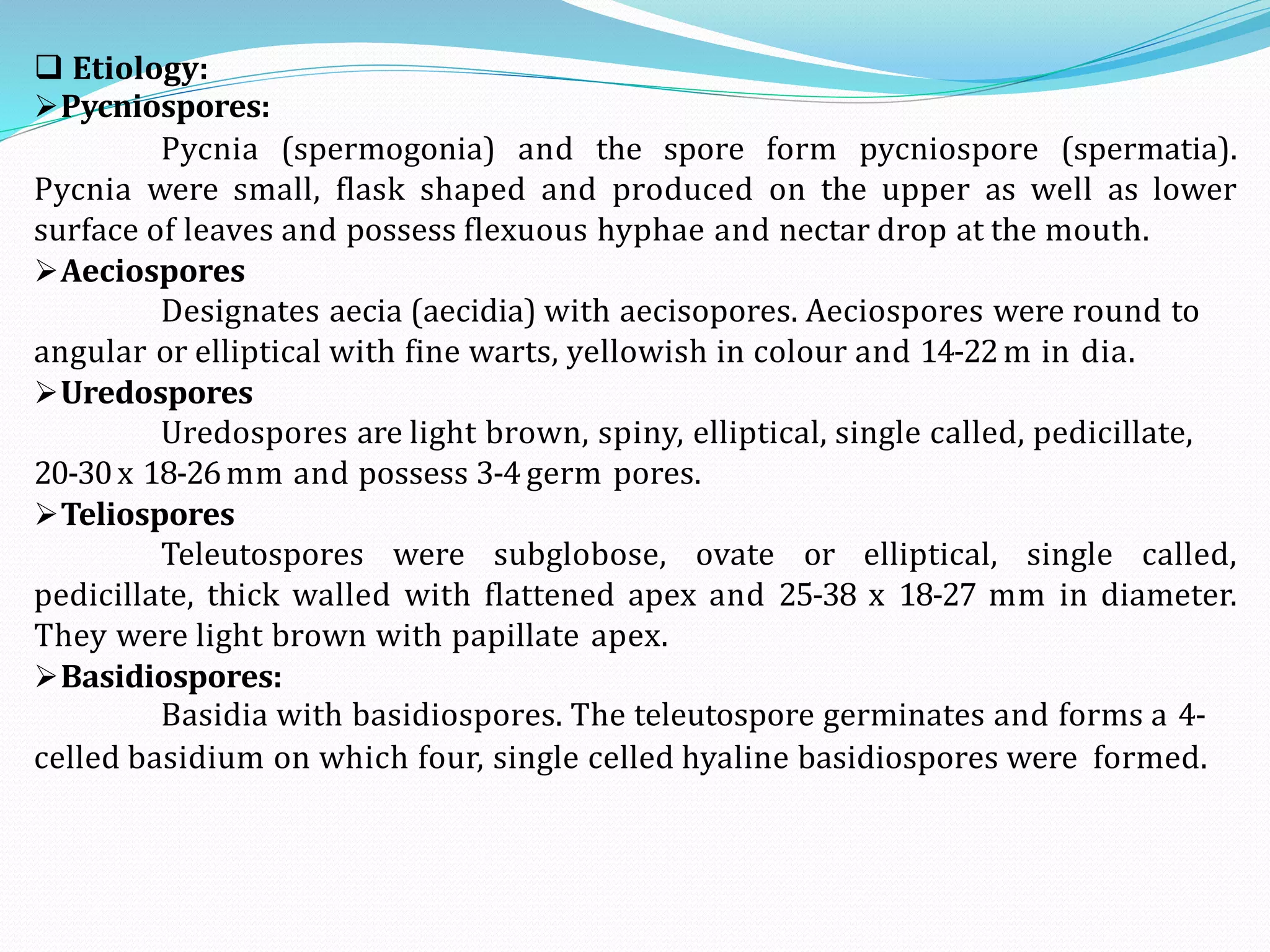 Diseases of Lentil | PPTX
